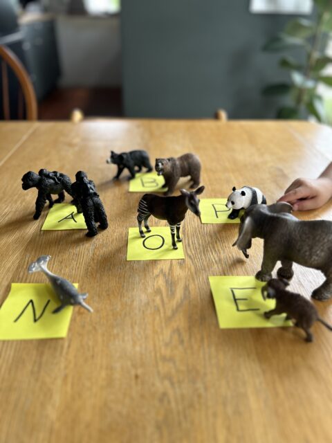 Buchstaben mit ihren Lauten lernen und zuordnen können - fördernbewegt